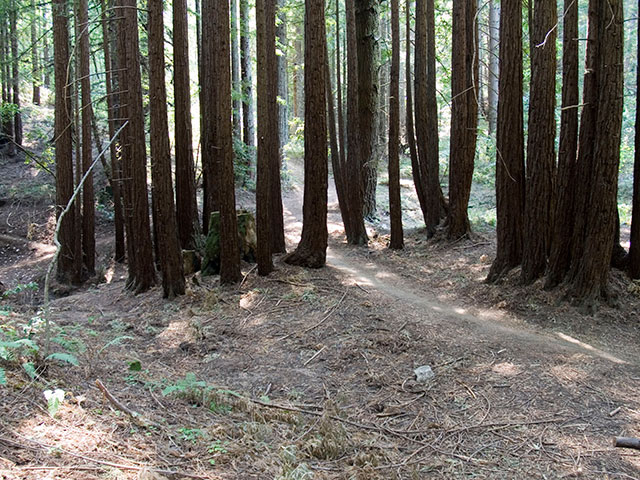 A Glimpse at UCSC’s North Campus » Bradley Allen